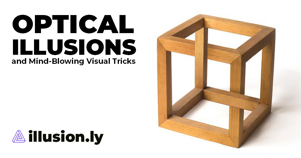 Multiple Meaning & Hidden Object Illusions